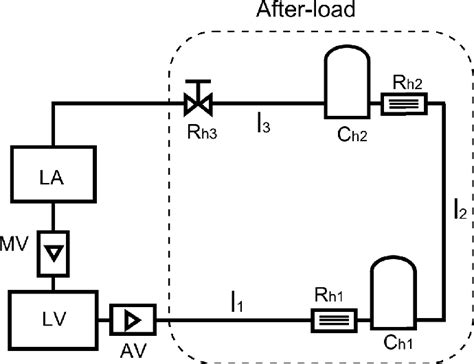 Hydraulic Model Of Pulse Duplicator Download Scientific Diagram