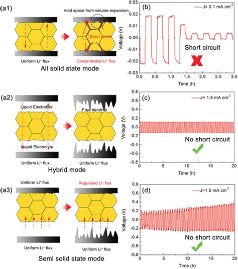 The Liquid Phase Therapy On Influencing The Ccd The Symmetric Cells