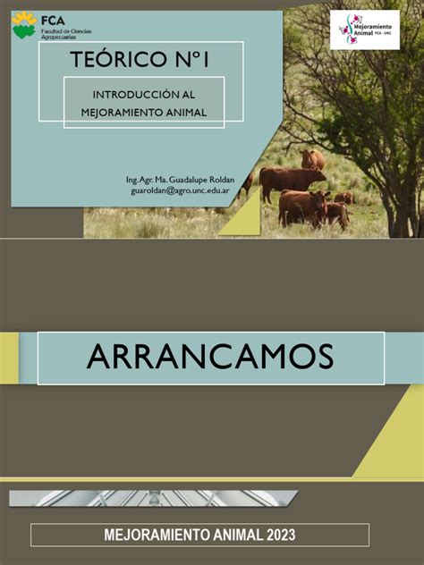 Teorico 1 2023 Pdf Herencia Dominancia Genética