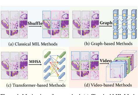 Figure 3 From Transformer Based Video Structure Multi Instance Learning