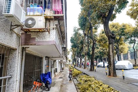 深圳市莲花北村 深圳市市区 深圳市花 第2页 大山谷图库