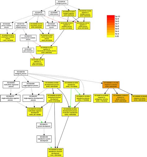 Hierarchical Tree Graphs Of Significantly Enriched Go Terms Among Download Scientific Diagram