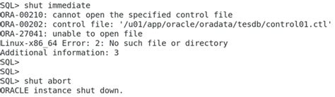 Ora Backup Control File