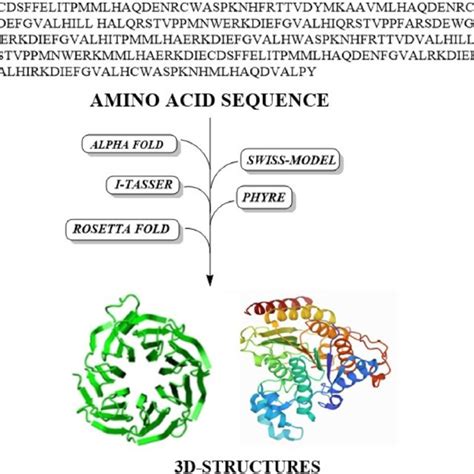 Depicts The Homology Modeling Of Proteins With Different Webservers