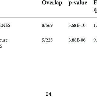 Differential Expression Of 43 LncRNAs In IGCA Patients A Heatmap