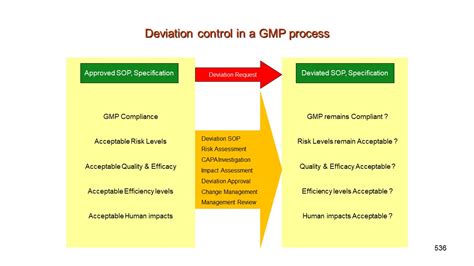 Gmp Vs Cgmp What S The Difference