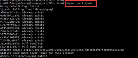 MySQL Docker容器实例创建并进入MySQL命令行 橘子偏爱橙子 博客园