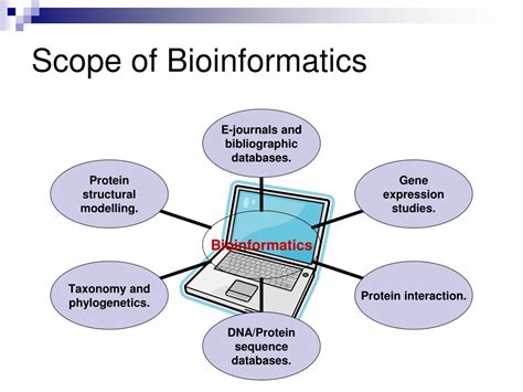 Ppt Bioinformatics Sources For Biology Research Powerpoint Presentation Id9324424 Ppt Bioinformatics Sources For Biology Research Powerpoint Presentation Id9324424