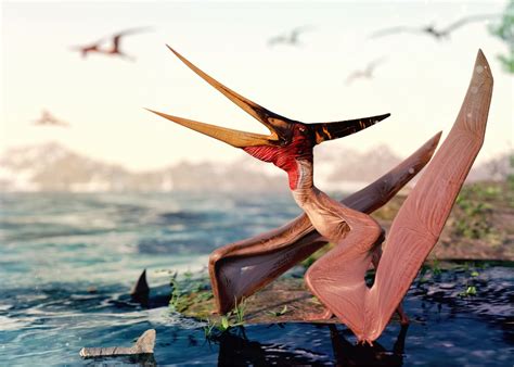 Pterodactyl Dinosaur Poster Picture Metal Print Paint By Gigi Bgm