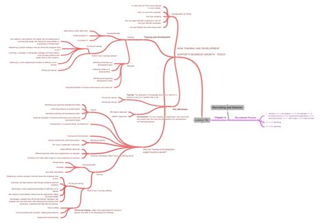 Lesson 7th Coggle Diagram