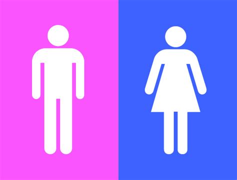 Binary Genders Gender Wiki Fandom Powered By Wikia