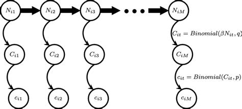 Layered Hidden Markov Chain For Adult Breeding Population Download Scientific Diagram
