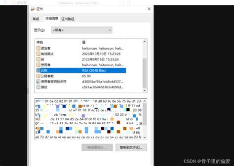 uniapp获取证书秘钥、android app备案获取公钥、签名md5值 uniapp 公钥 csdn博客