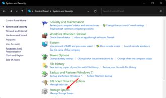 How To Setup RAID 1 On Windows 11