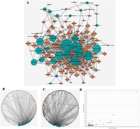 A The Bipartite Dt Network B The Circle Layout Of Dt Network Based