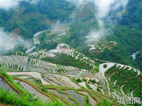 贵州 从江 加傍 梯田 农田 风景 旅游 搜图网 正版商业图片素材交易平台