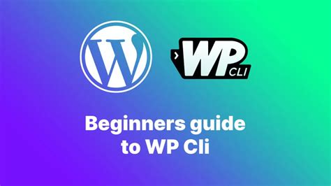 A Beginners Guide To Wp Cli Accreditly