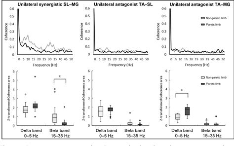 Figure 2 From Intermuscular Coherence During Quiet Standing In Sub