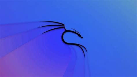 Ethical Hacking Metasploit Nmap Kali Python 3 Y Más Free Online Courses With Certificates