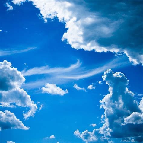 Kyle Davis Kimball Youtube