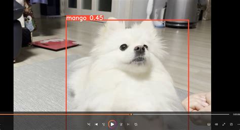 Github 2swonobject Detection Customdataset 직접 찍은 강아지 동영상을 Frame 단위로 저장 40 데이터셋 라벨링 후 학습