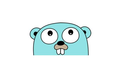 Options Pattern In Golang Dev Community
