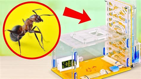 How To Start An Ant Farm Respectprint22