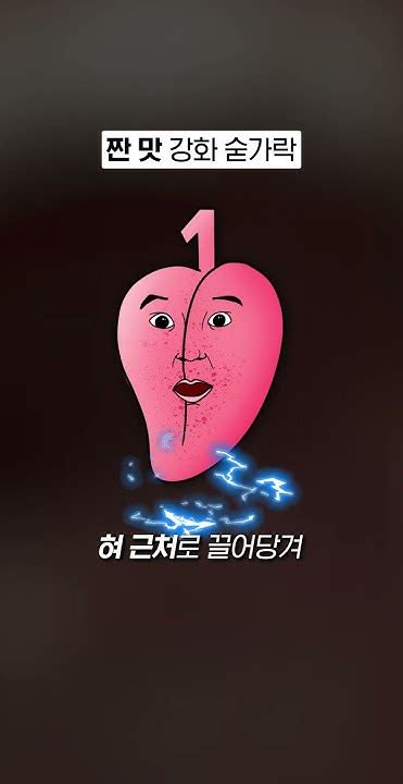 짠 맛 강화 숟가락 Youtube