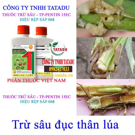 Tp Pentin 15ec HiỆu RỆp SÁp 068 TrỊ SÂu ĐỤc ThÂn
