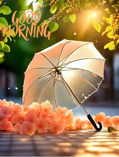 ปักพินโดย Ramchai Chuenbumrung ใน สวัสดีวันพฤหัส สวัสดีตอนเช้า อรุณสวัสดิ์ ภาพ