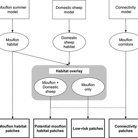 Flowchart Of Our Analyses To Identify Priority Habitat Patches Dashed Download Scientific