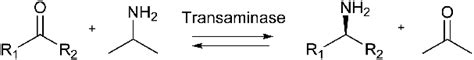 Scheme 1 5 Schematic Representation Of A Transaminase Catalyzed Download Scientific Diagram