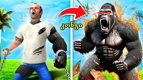 მეცნიერებმა გიგანტურ გორილად გადამაქციეს კინგ კონგი Gta 5 ში Youtube