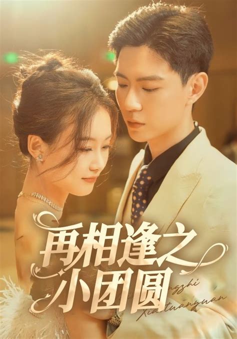 再相逢之小团圆完整版免费观看 再相逢之小团圆短剧全集免费在线观看 河马剧场