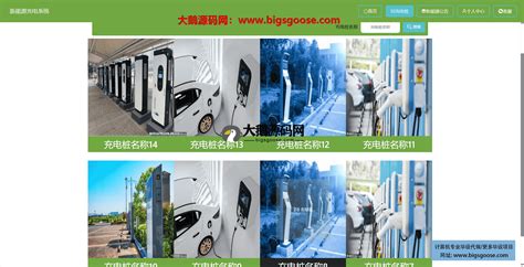 基于springboot的新能源充电系统 计算机毕业设计 Java毕业设计大鹅源码网大鹅源码网