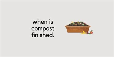 When Should You Stop Adding To Compost