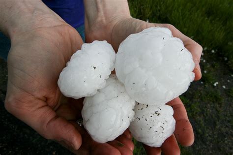 Sleet Versus Freezing Rain Whats The Difference Farmers Almanac Plan Your Day Grow