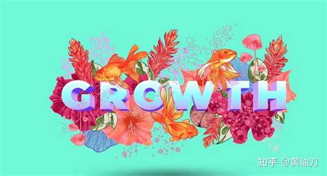 Coreldraw Graphics Suite 2024 中文版新功能介绍以及如何使用 知乎