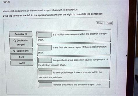 Part A Match Each Component Of The Electron Transport Chain With Its