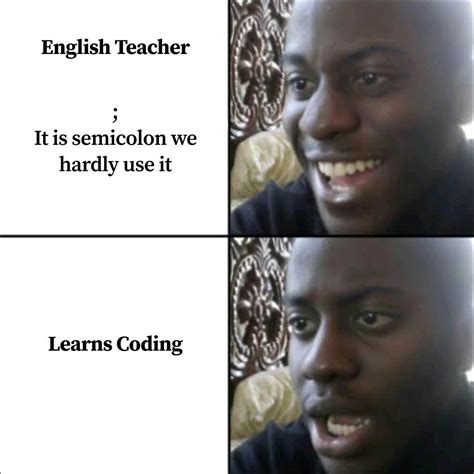 prithvi n on linkedin webibee webdev meme