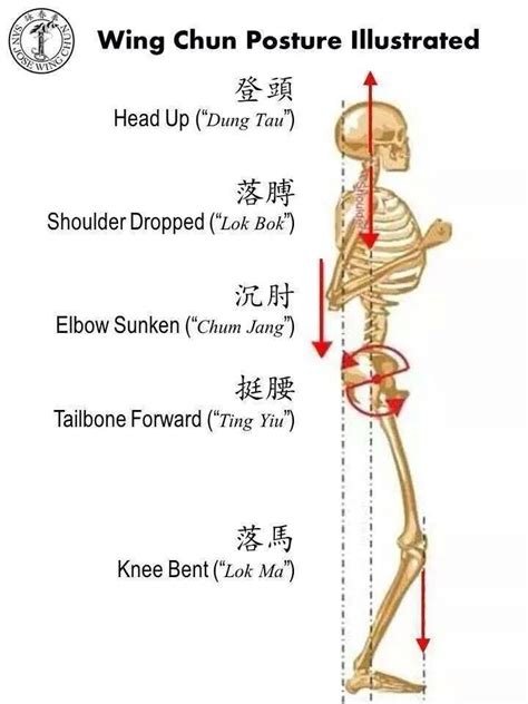 How To Learn Wing Chun With Pictures Artofit