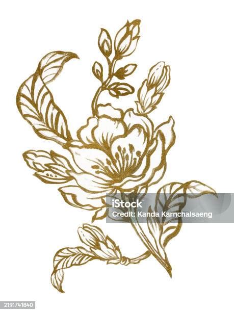 수채화 일러스트 식물 잎 컬렉션 벚꽃 벚꽃 동양 단풍 야생 및 정원 및 추상 잎 골드 핸드 페인팅 세트 0명에 대한 스톡 벡터 아트 및 기타 이미지 Istock