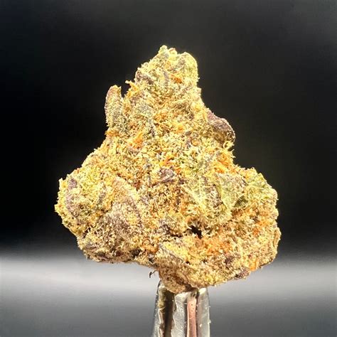 Gelato Thc A Flower Pressure Smoke And Vape