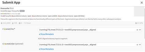 Fmri Preprocessing Brainlife Documentation
