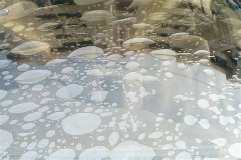 Window Tint Peeling From Poor Installation Old Film