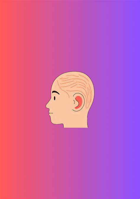 Scalp Reconstruction Anatomy Surgical Technique And Reconstructive Options