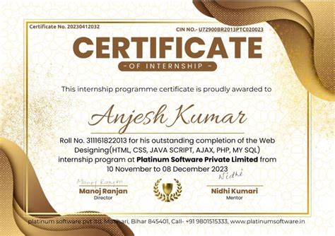 Anjesh Kumar On Linkedin Web Designing Internship Certificate From Platinum Software Private