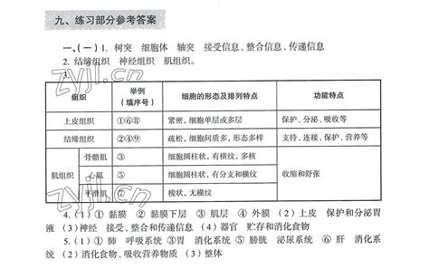 2022年练习部分初中生命科学第一册沪教版54制答案——青夏教育精英家教网——