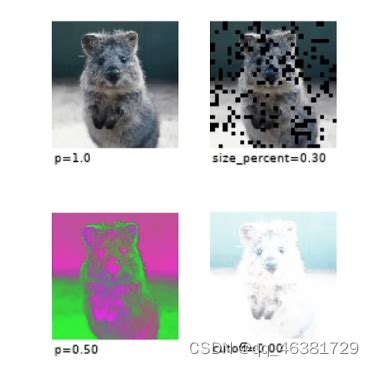 动手学PyTorch李沐 数据增广 mosaic增广 CSDN博客
