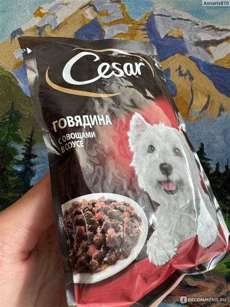 Паучи для собак Cesar из говядины с овощами - «Прекрасный рацион для ...